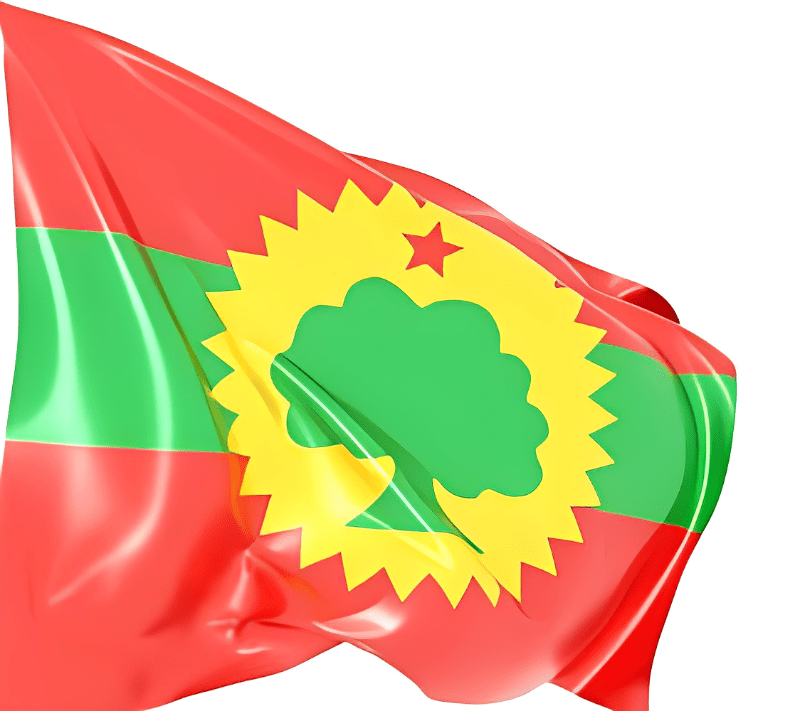 Great Mammaaksa Afaan Oromoo 2024 | Afaan Oromoo