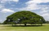 Oromia 2024: Great History And Geography Of The Oromo Country | Afaan ...
