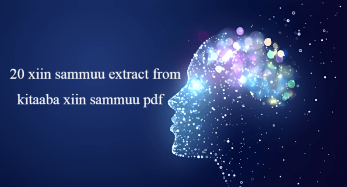 Great 20 Xiin Sammuu Extract From Kitaaba Xiin Sammuu Pdf | Afaan Oromoo