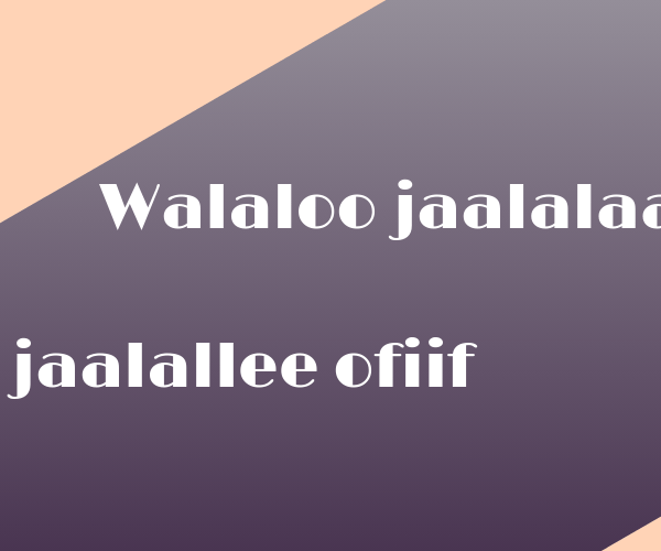 Best Walaloo Jaalalaa Oromoo 2024 | Afaan Oromoo