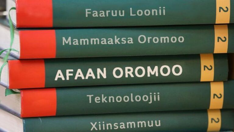 How To Translate English To Oromo Free 2025 | Afaan Oromoo